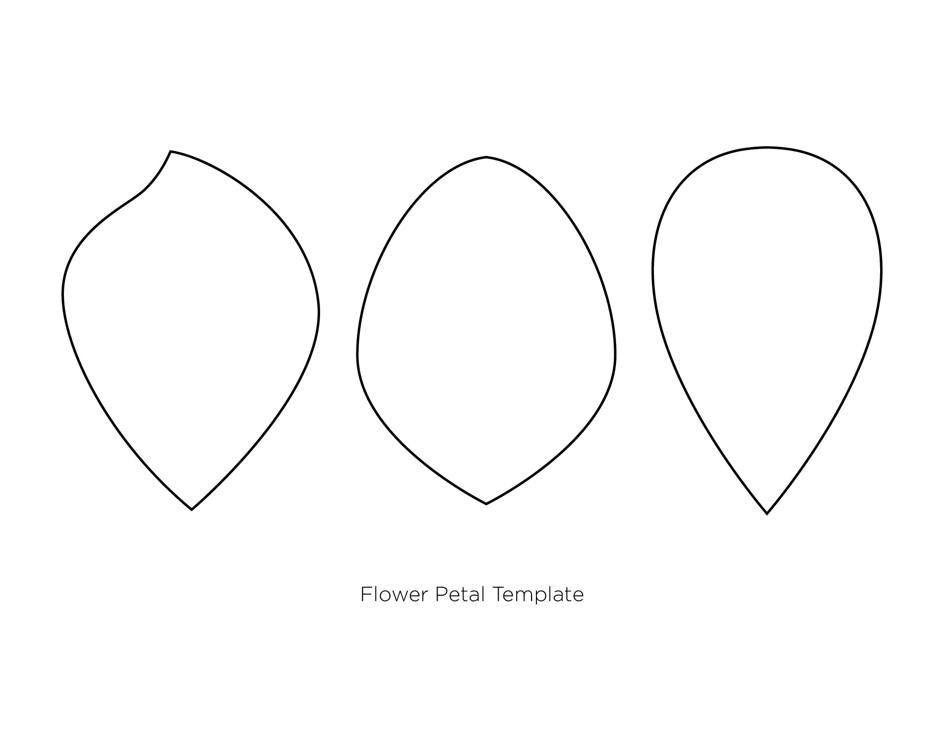 Flower Petals Template Printable